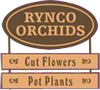 Rynco Orchids